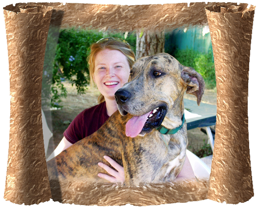 Gentle Giants Rescue and Adoptions